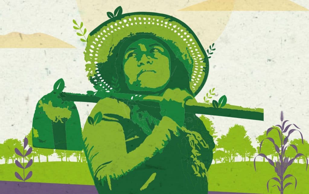 Más de un millón de hectáreas plantadas con Sembrando Vida en 2020 ...