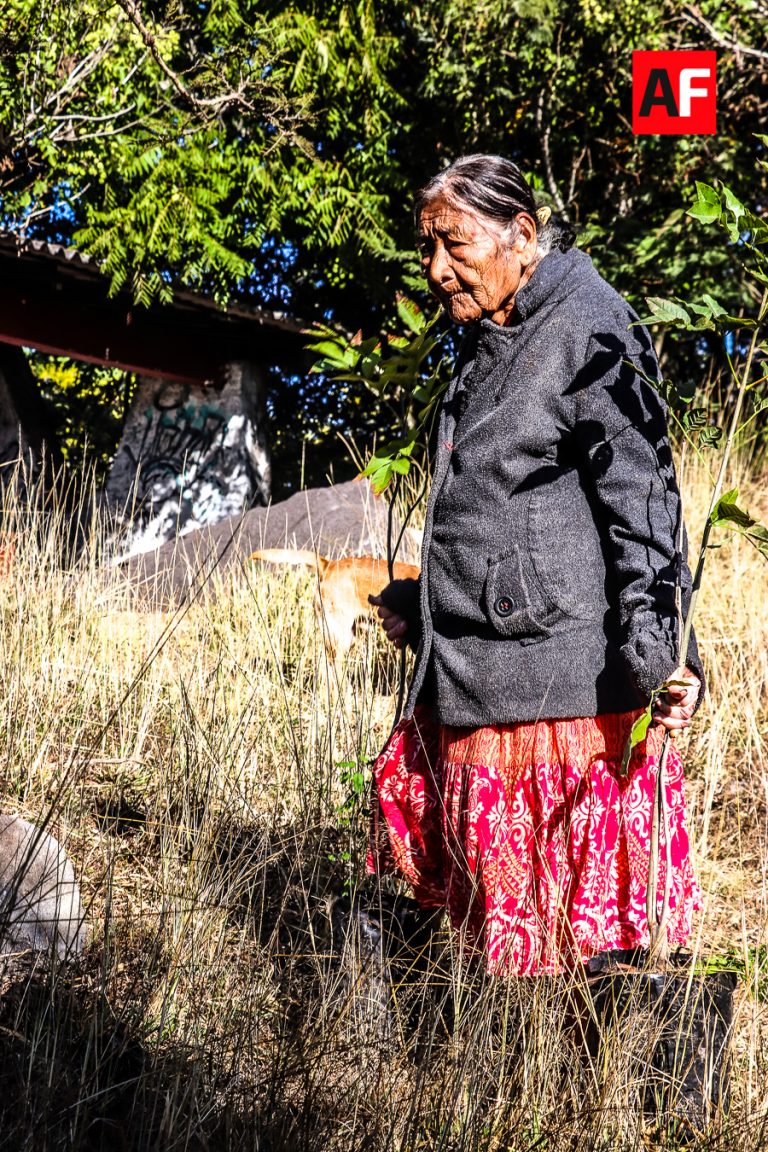 Embotelladora de Colima, Kiosko y Cervecería de la Costa realizan ...