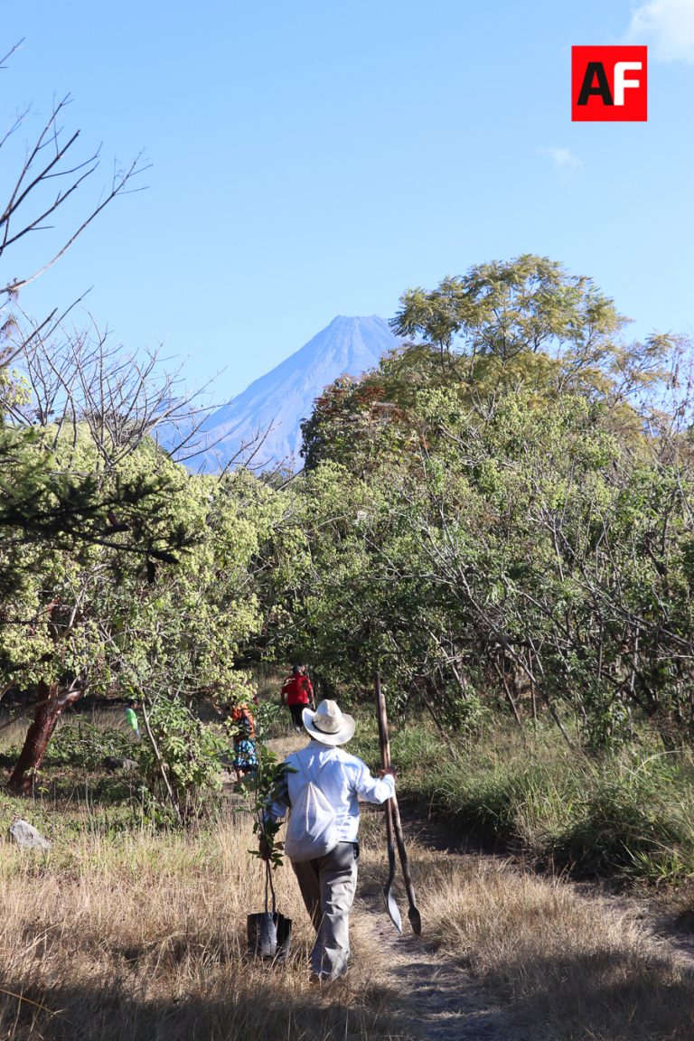 Embotelladora de Colima, Kiosko y Cervecería de la Costa realizan ...
