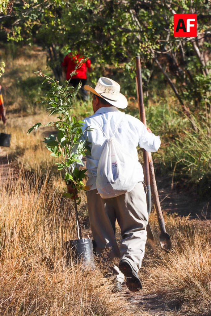 Embotelladora de Colima, Kiosko y Cervecería de la Costa realizan ...