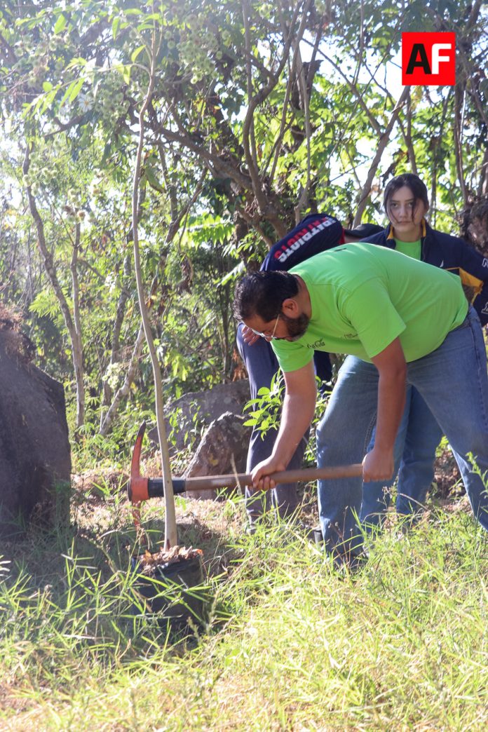 Embotelladora de Colima, Kiosko y Cervecería de la Costa realizan ...