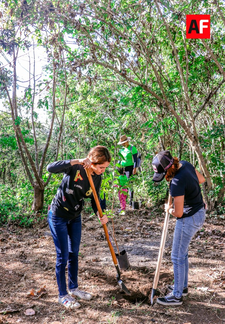 Embotelladora de Colima, Kiosko y Cervecería de la Costa realizan ...