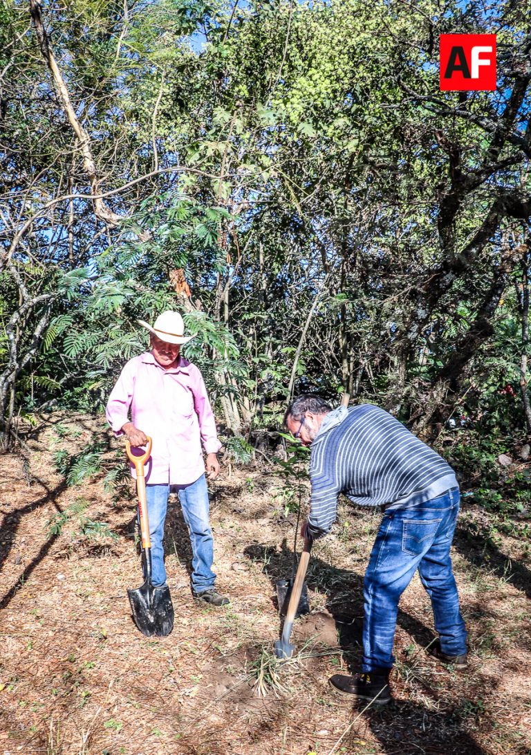 Embotelladora de Colima, Kiosko y Cervecería de la Costa realizan ...