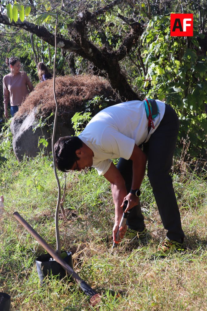 Embotelladora de Colima, Kiosko y Cervecería de la Costa realizan ...