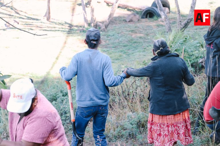 Embotelladora de Colima, Kiosko y Cervecería de la Costa realizan ...