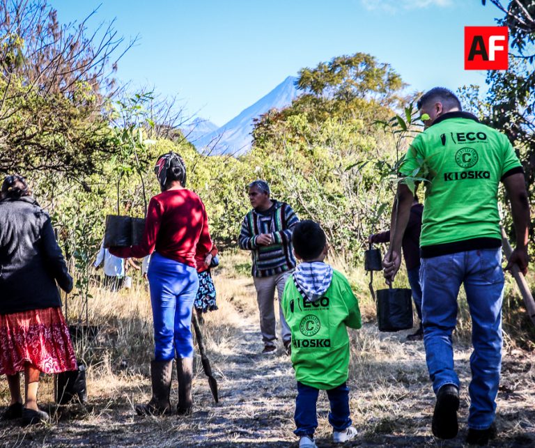 Embotelladora de Colima, Kiosko y Cervecería de la Costa realizan ...