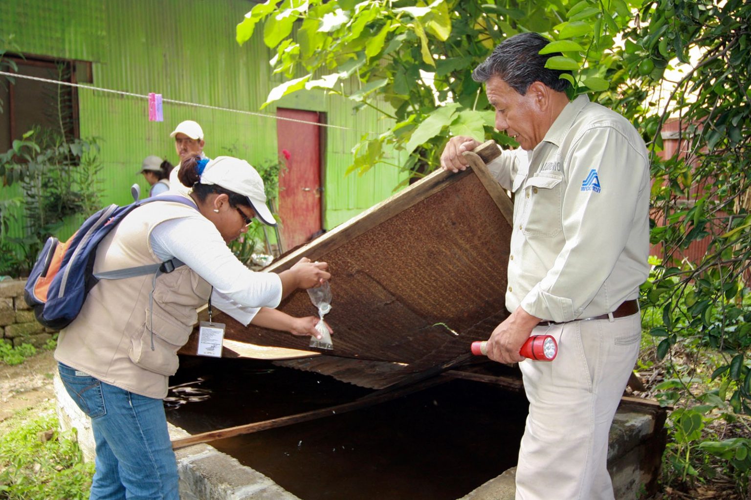 Colima líder nacional en casos de Dengue, protege a tu familia con estas medidas - AFmedios ...