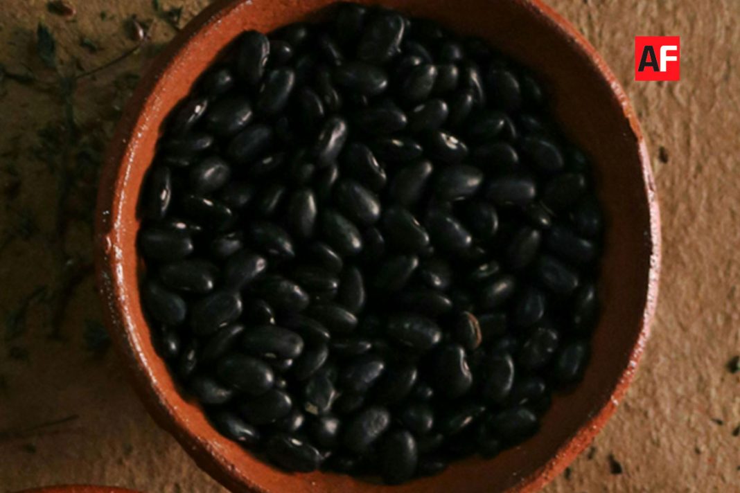 ¿Sabías que hay alrededor de 70 variedades de frijol en México?, conoce ...