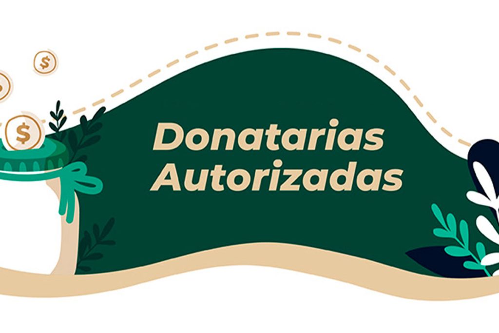 Más De 10 Mil Donatarias Autorizadas Cumplieron Con Su Declaración De