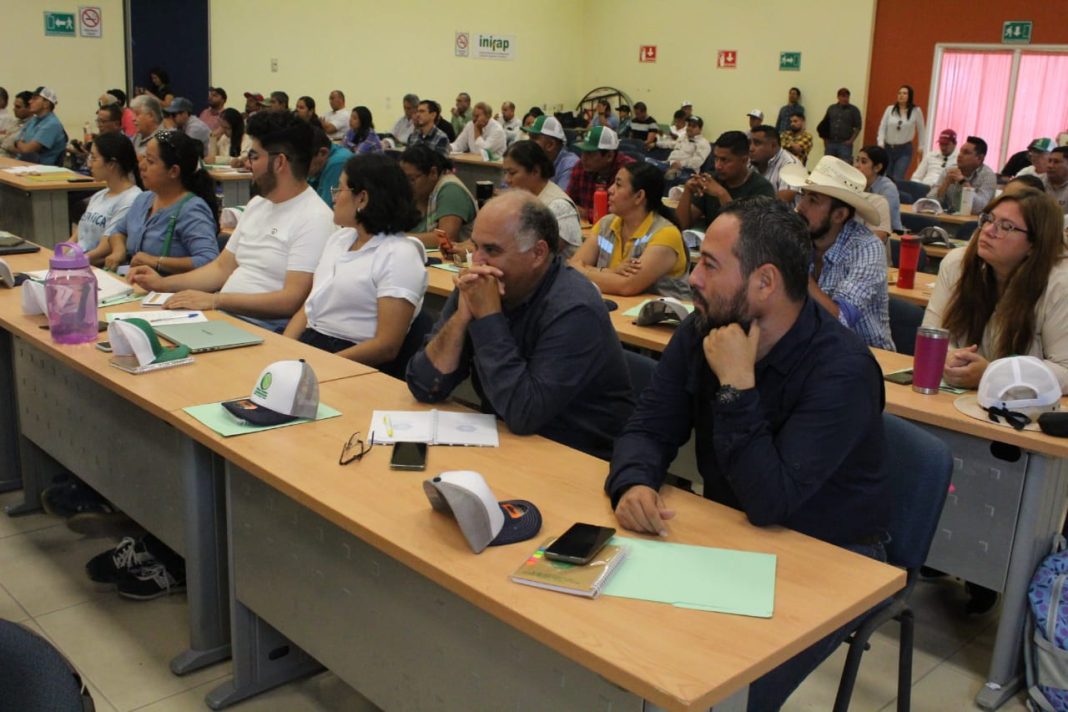 Inició en Colima el curso 'Manejo Integrado del Limón Mexicano con HLB ...