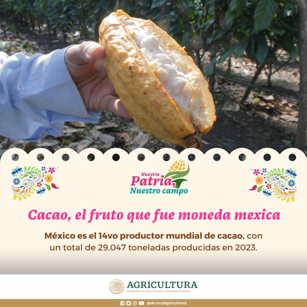 Cacao y del café, símbolos de México y de la grandeza cultural del país ...